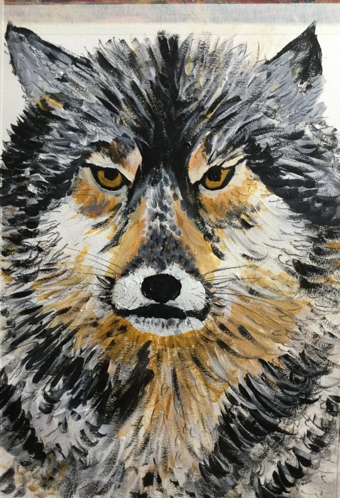 Kevin Walker: Artist, Writer and Storyteller » Wildlife.